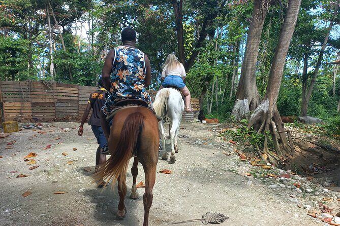 Bamboo Rafting and Horse Back Riding Combo in Ocho Rios - The Sum Up