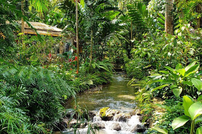 Bamboo rafting and Horseback ridding - An In-Depth Look at the Tour Experience