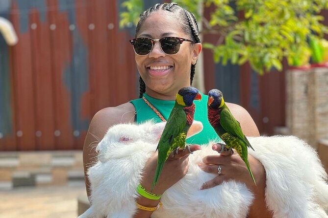 Bamboo Rafting Limestone Massage, Exotic bird and Herb Farm Tour - Exploring the Itinerary: What’s in Store