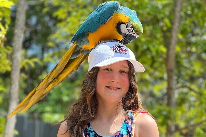 Bamboo Rafting Limestone Massage, Exotic bird and Herb Farm Tour - The Sum Up