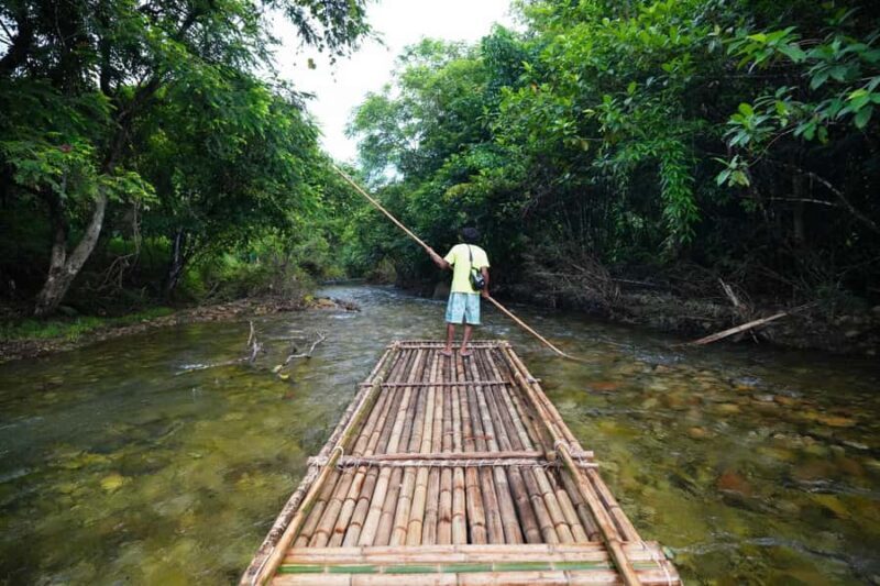 Bamboo Rafting, Waterfall, lunch, Elephant, and Turtle Tour - Key Points