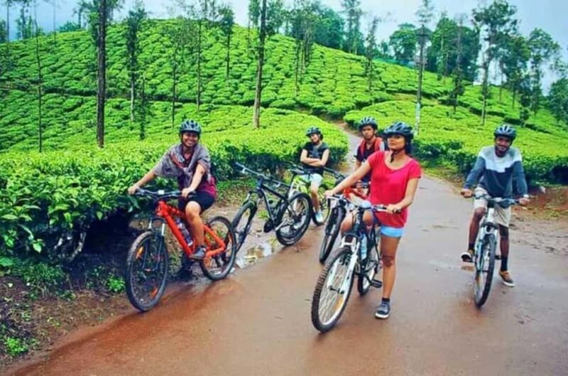 Bamboo Village & Cycling Tour in Wayanad - Introduction: Why This Tour Stands Out