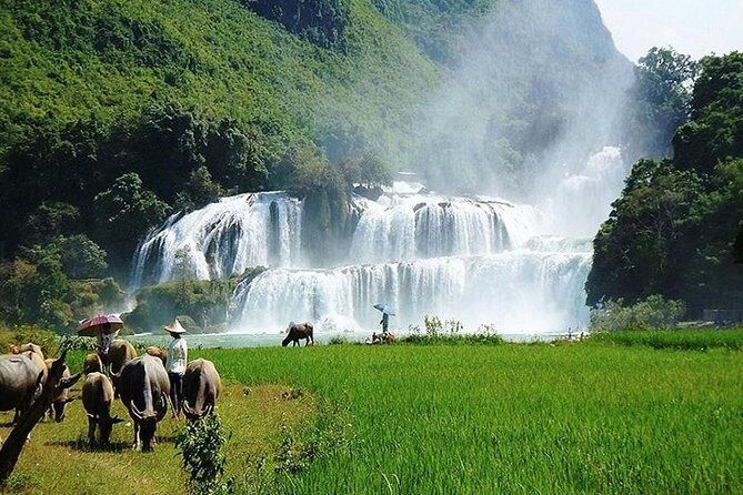 Ban Gioc Waterfall 3 Days 2 Nights From Hanoi - FAQ
