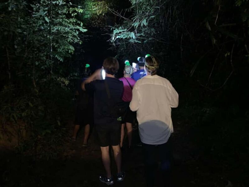 Ban Khao Sok: Rafting, Cooking, & Night Jungle Trek Tour - Analyzing the Value