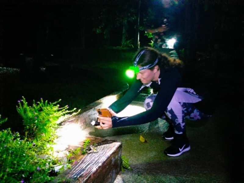 Ban Khao Sok: Rafting, Cooking, & Night Jungle Trek Tour - Who Should Consider This Tour?