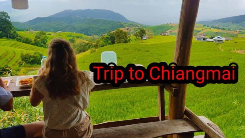 Ban Pa Pong Pieng Rice Terraces Private Guided Tour - An Authentic Peek Into Hill Tribe Life and Nature