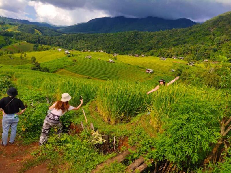 Ban Pa Pong Pieng Rice Terraces Private Guided Tour - Who Will Love This Tour?