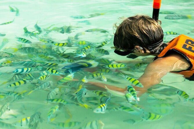 Banana Beach Snorkeling Adventure: A Day in Paradise - An In-Depth Look at the Tour