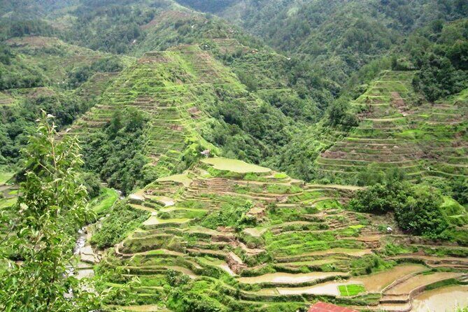 Banaue-Hapao Rice Terraces (Car Rental W/ Manila Tourist Driver) - Introduction: Why Choose a Private Driver for the Banaue-Hapao Rice Terraces?