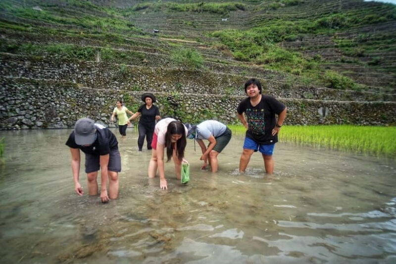 BANAUE:BATAD Rice Terraces with Sagada 4D3N PRIVATE TOUR - Final Thoughts