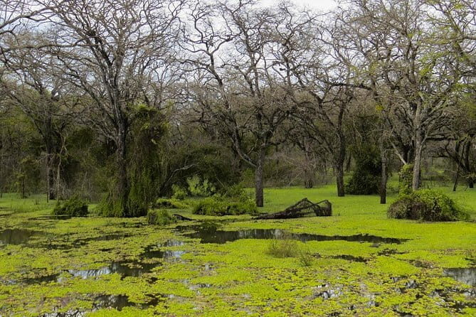 Bandarawela City to Colombo (CMB) Airport Private Transfer - Final thoughts on value