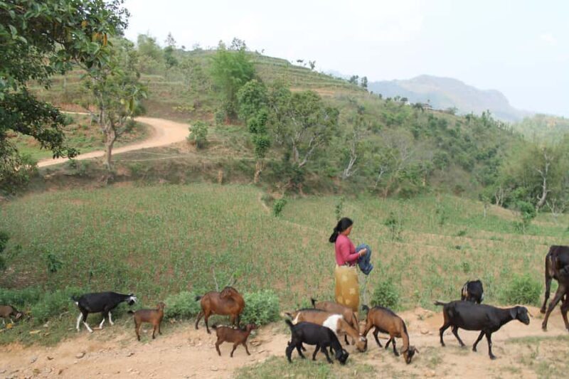 Bandipur: First hand rural cultural experience at homestay - Key Points