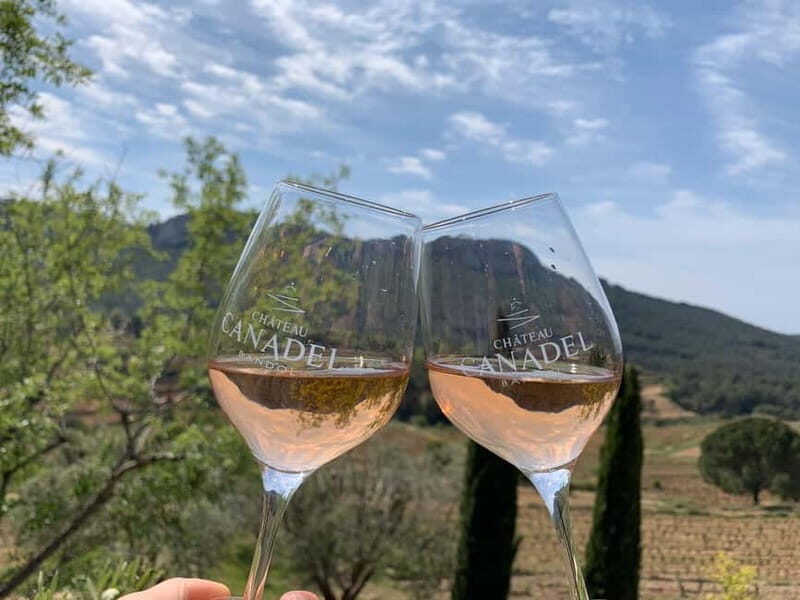 Bandol: family vineyard tour and tasting - An Introduction to Château Canadel and Its Sustainable Philosophy