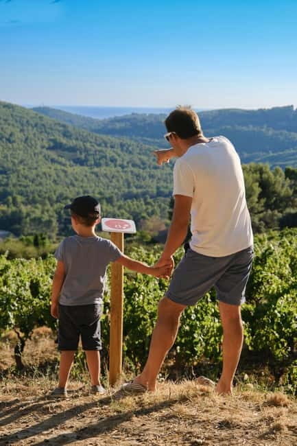 Bandol: family vineyard tour and tasting - A Detailed Breakdown of the Itinerary