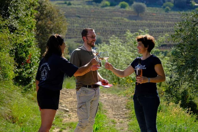 Bandol: family vineyard tour and tasting - Who Would Enjoy This Tour?