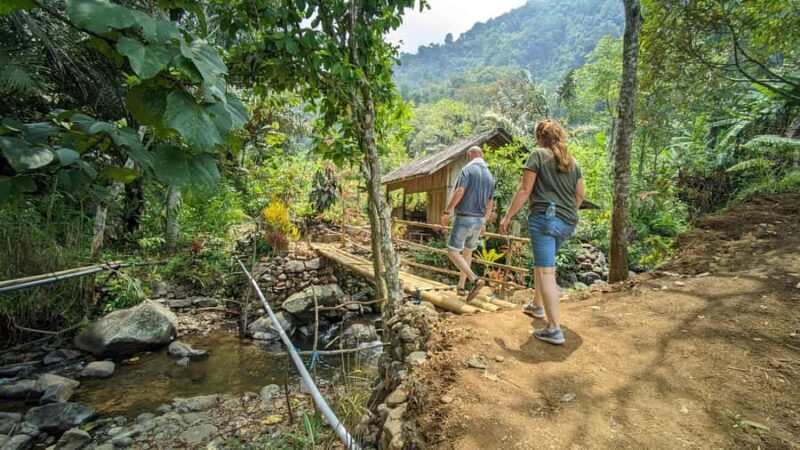 Bandung Countryside Tour: Waterfall, Rice Fields & Culture - Value and Pricing