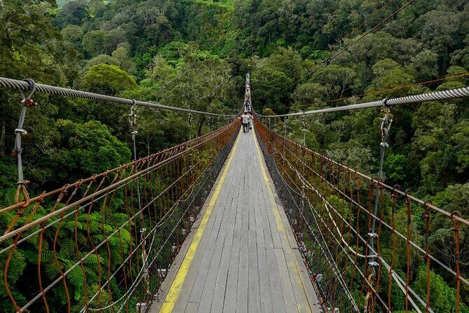 Bandung Crater Adventure Hotspring and Mud Bath - What Could Be Improved?