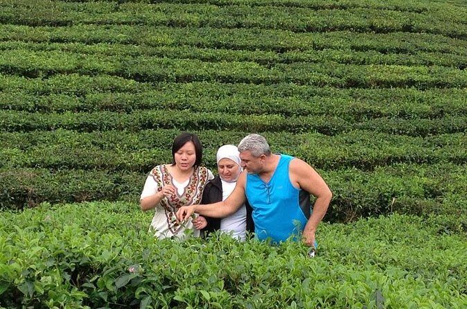 Bandung in One Day (Minimum of 2 Travelers) - Why This Tour Offers Good Value