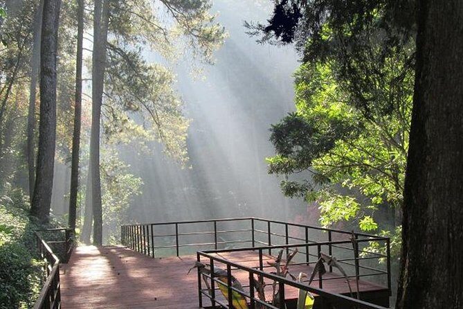 Bandung Private Tour Mountain Volcano and Hotspring ( Overland ) - Key Points