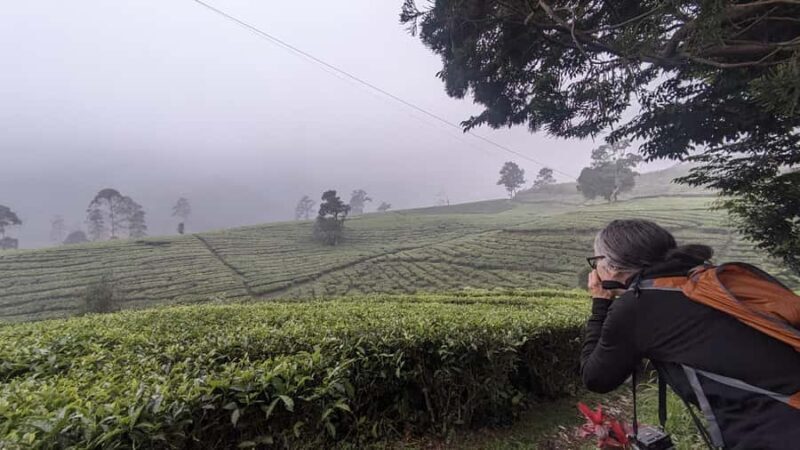 Bandung: Tangkuban Parahu Volcano & Surrounding Areas Tour - Authenticity and Value