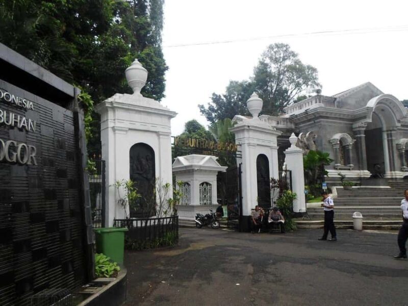 BANDUNG TO JAKARTA: Tea Plantation and Botanical Garden Tour - The Sum Up: Who Should Consider This Tour?