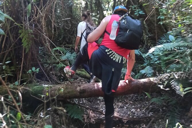 Bandung Tour Volcano, Hotsprings, Mud, Tea, Lunch all Included - Final Thoughts