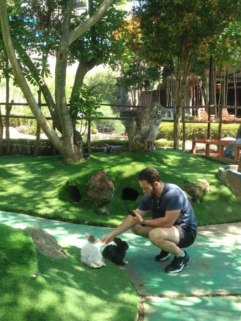 Bandung : Trip of Volcano Active Mountain Tour Guide - Summary