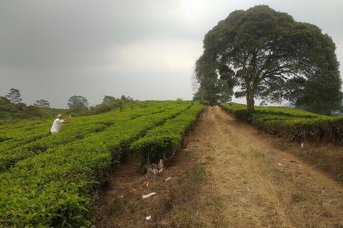 Bandung Volcano Sightseeing and Hot Spring Private Tour - Who Is This Tour Best For?