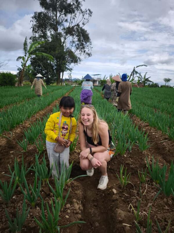 Bandung: White Crater Hotspring Tea Plans And Lunch Included - Authentic Experiences and Highlights from Travelers