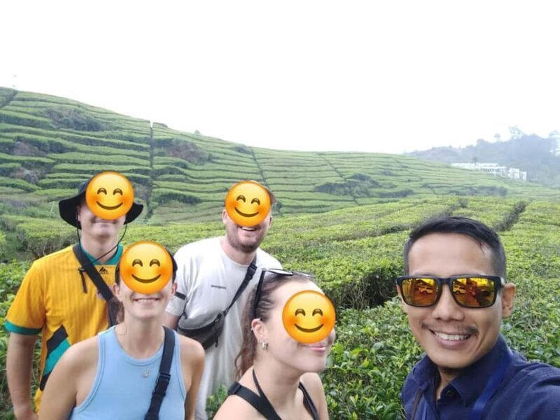 Bandung: White Crater Volcano Guided Day Trip - The Sum Up