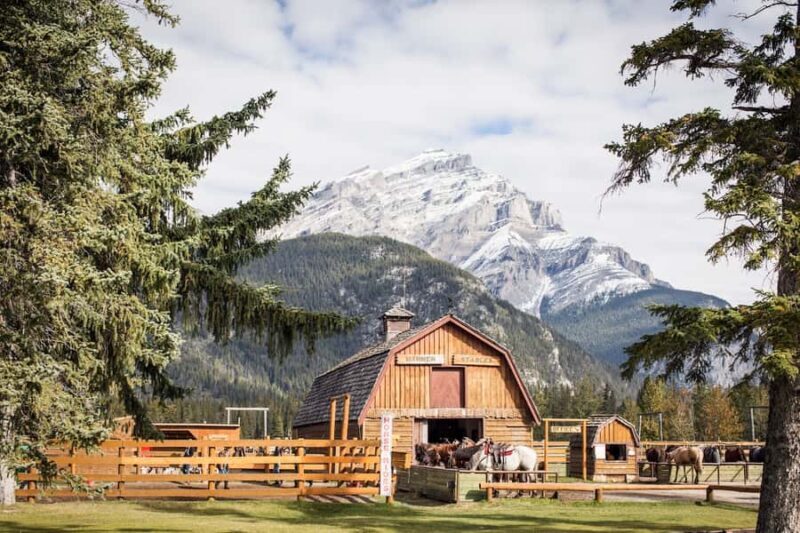 Banff: 3-Hour Bow Valley Loop Horseback Ride - What to Expect from the Ride