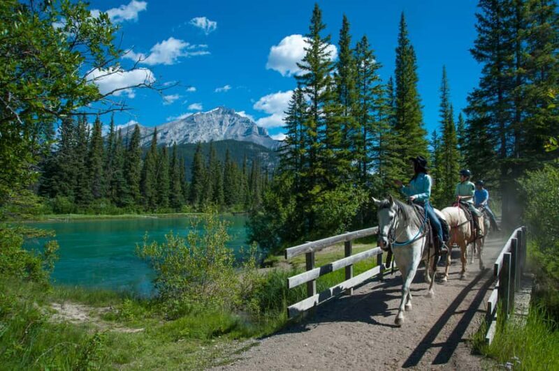 Banff: 3-Hour Bow Valley Loop Horseback Ride - Authentic Reviews & Insights