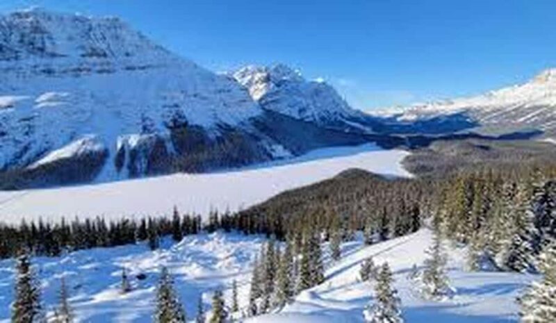 Banff and Jasper National Parks Tour and Glacier Adventure - Who Will Love This Tour?