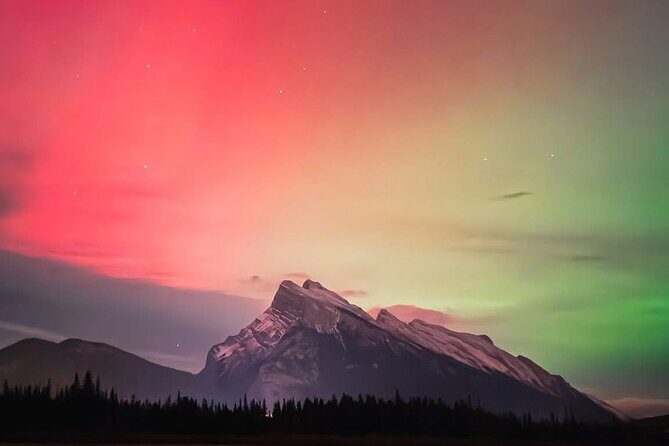 Banff and Yoho Rocky Mountain Discovery Day Tour - The Experience — Pros and Cons