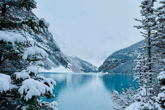 Banff and Yoho Rocky Mountain Discovery Day Tour - Who Will Love This Tour?