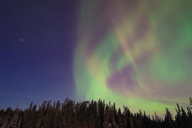 Banff and Yoho Rocky Mountain Discovery Day Tour - Final Thoughts