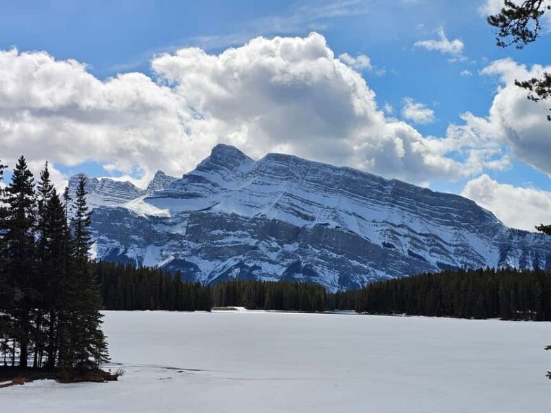 Banff and Yoho Winter Wonderland Private Tour - Exploring the Details of the Tour