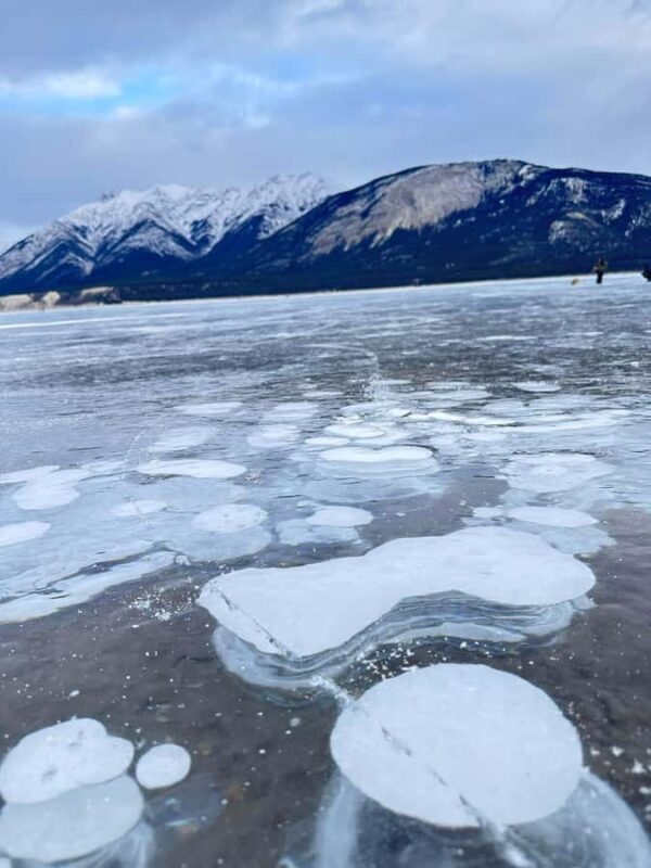 Banff: Banff & Yoho National Park Lakes and Gondola Tour - Who Should Consider This Tour?