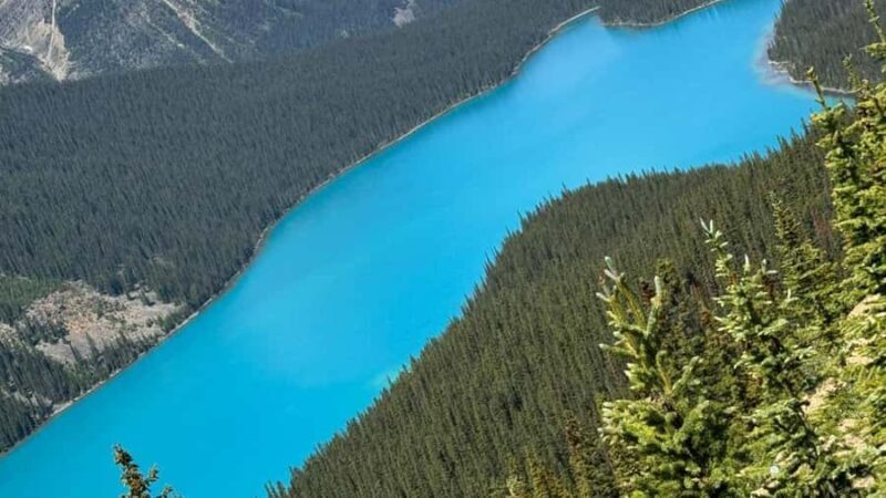 Banff/Calgary/Canmore: Crowfoot Glacier, 5 Lakes & Canyon - The Guide: Your Expert Companion