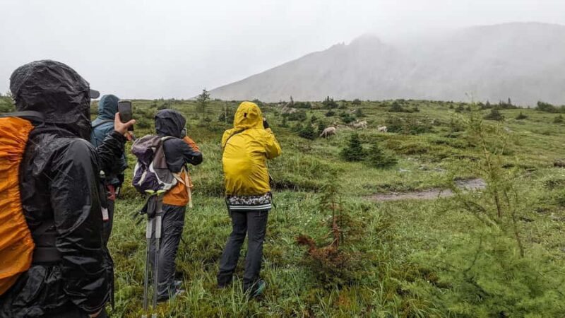 Banff Canmore: Bear Country Wildlife Focused Guided Hikes - FAQs