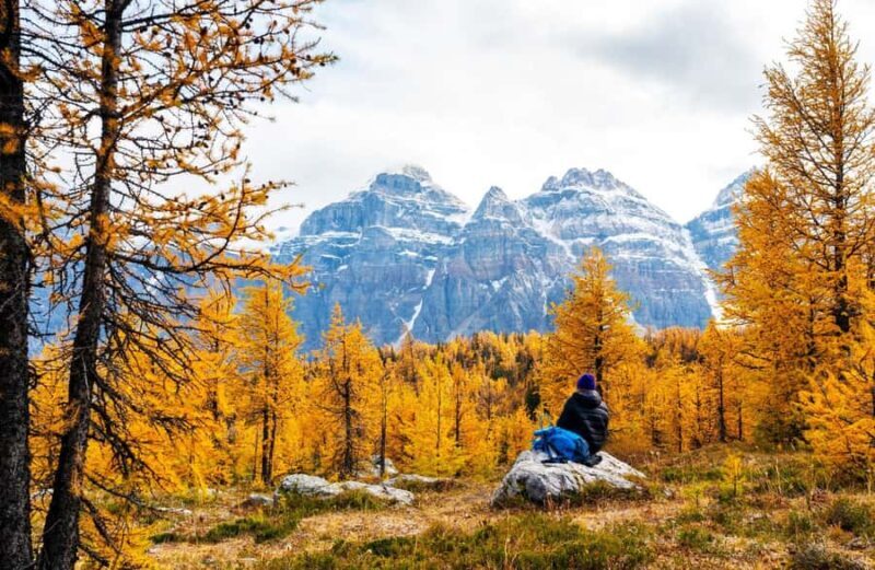 Banff/Canmore: Larch Valley & Moraine Lake shuttle RoundTrip - Final Thoughts