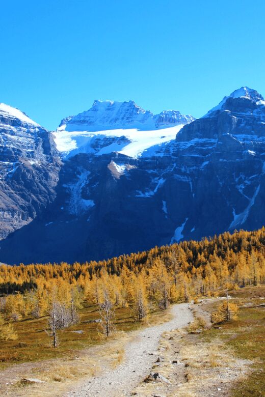 Banff/Canmore: Larch Valley & Moraine Lake - An In-depth Look at the Tour Experience
