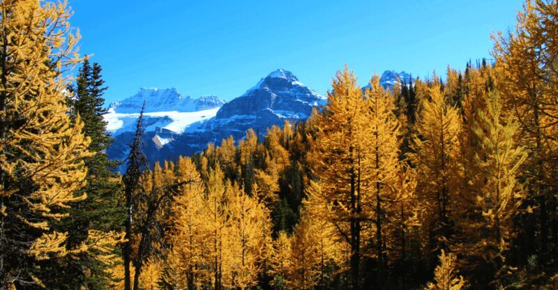 Banff/Canmore: Larch Valley & Moraine Lake - FAQ