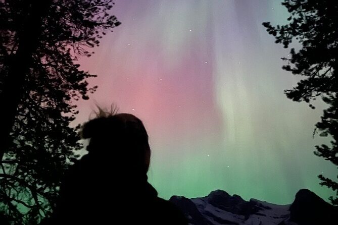 Banff/Canmore Night Sky: Stargazing and Chasing Northern Lights - An In-Depth Look at the Banff Night Sky Tour