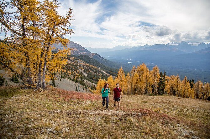 Banff Canmore Private Adventure Moraine Lake and Lake Louise Tour - An In-Depth Look at the Experience