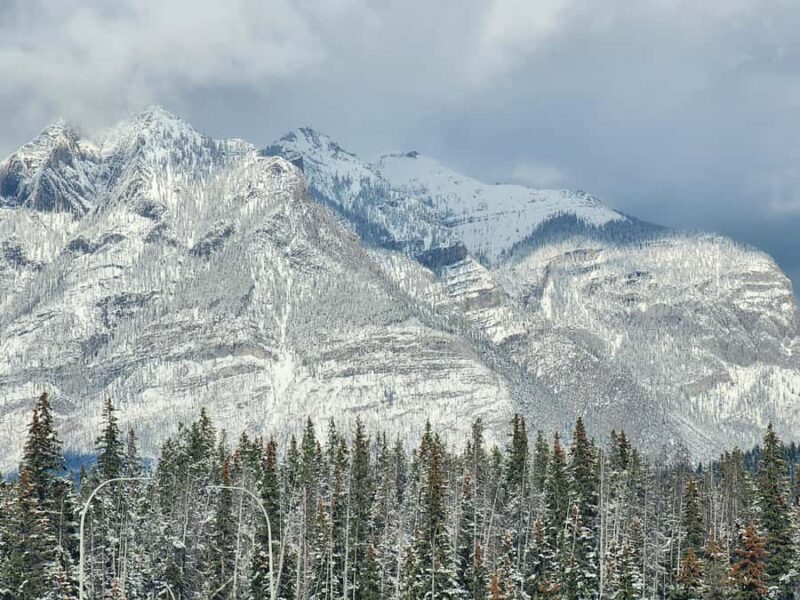 Banff Canmore: Wildlife Focused Guided Snowshoeing Adventure - A Detailed Look at the Snowshoeing Wildlife Tour