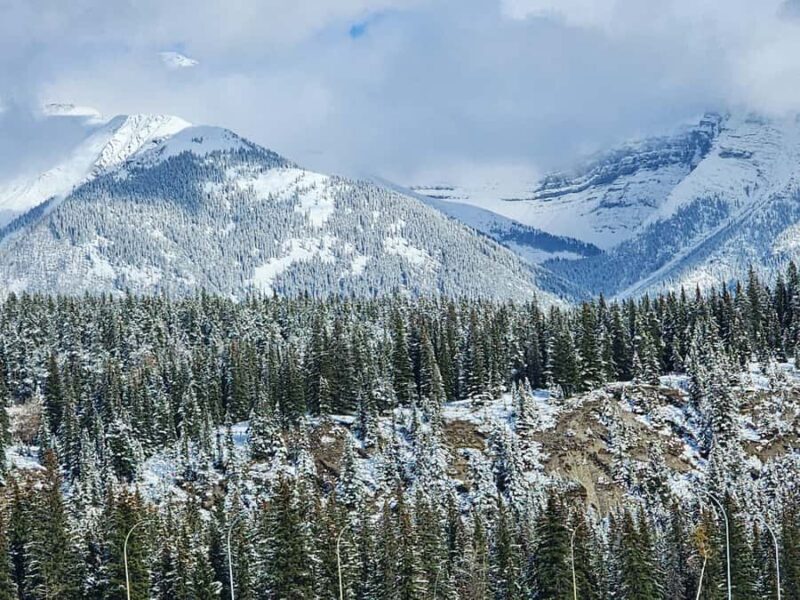 Banff Canmore: Wildlife Focused Guided Snowshoeing Adventure - Final Thoughts: Who Is This Tour Best For?