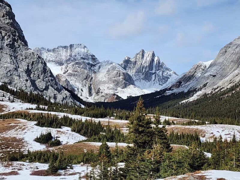 Banff Canmore: Wildlife Focused Guided Snowshoeing Adventure - FAQ