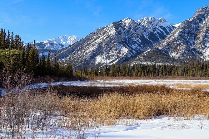 Banff Cave & Hot Springs Audio Walking Tour (Not a Ticket) - What’s Missing?
