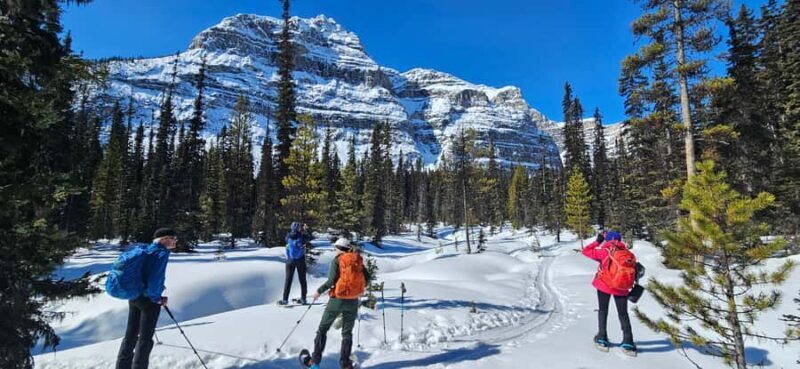 Banff: Chickadee Valley Snowshoe & Marble Canyon Walk - Exploring the Banff: Chickadee Valley Snowshoe & Marble Canyon Walk